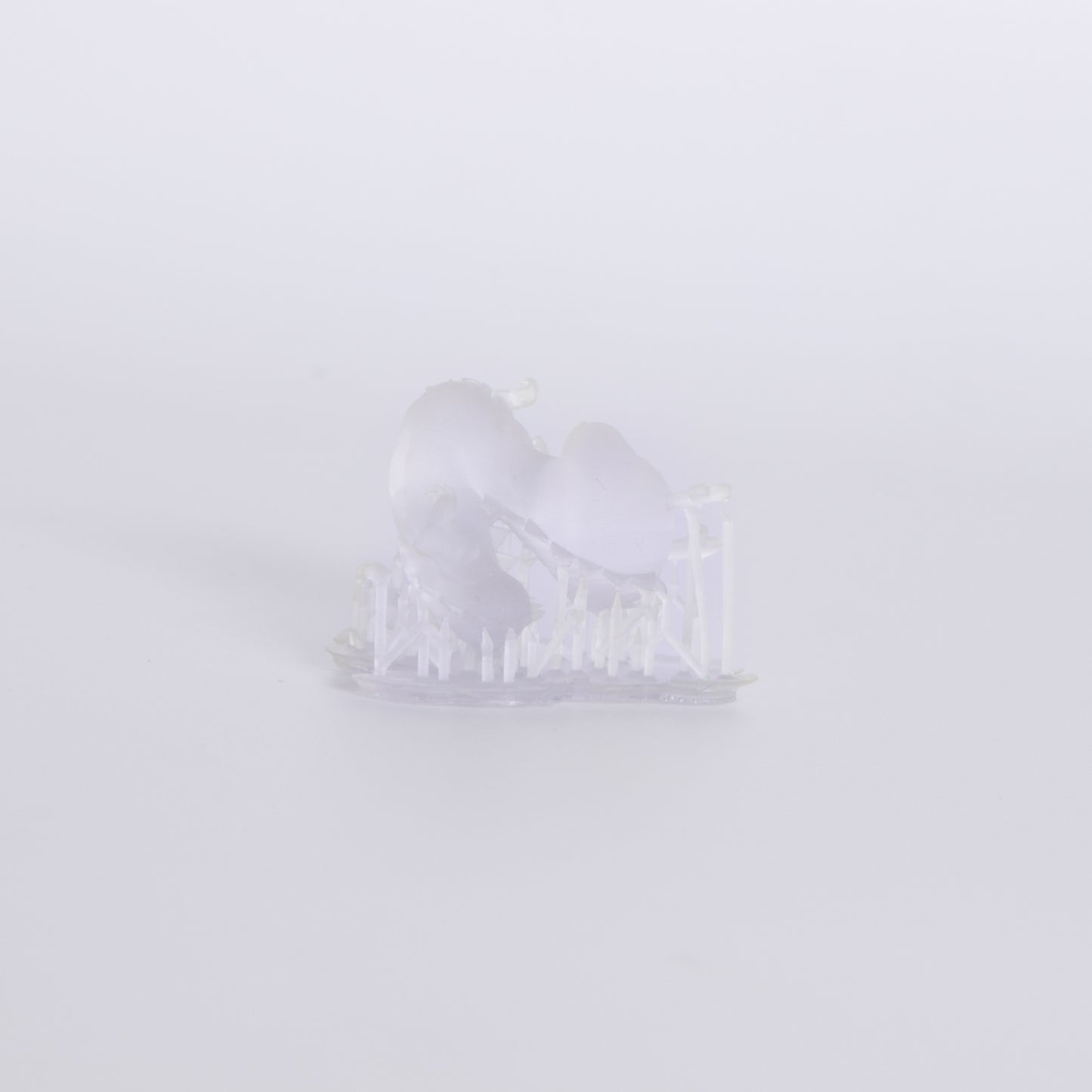 【販売終了】Phrozen SC-801 Clear Resin 透明色 – 3Dプリンターとレジン&フィラメントの通販・購入はSK本舗